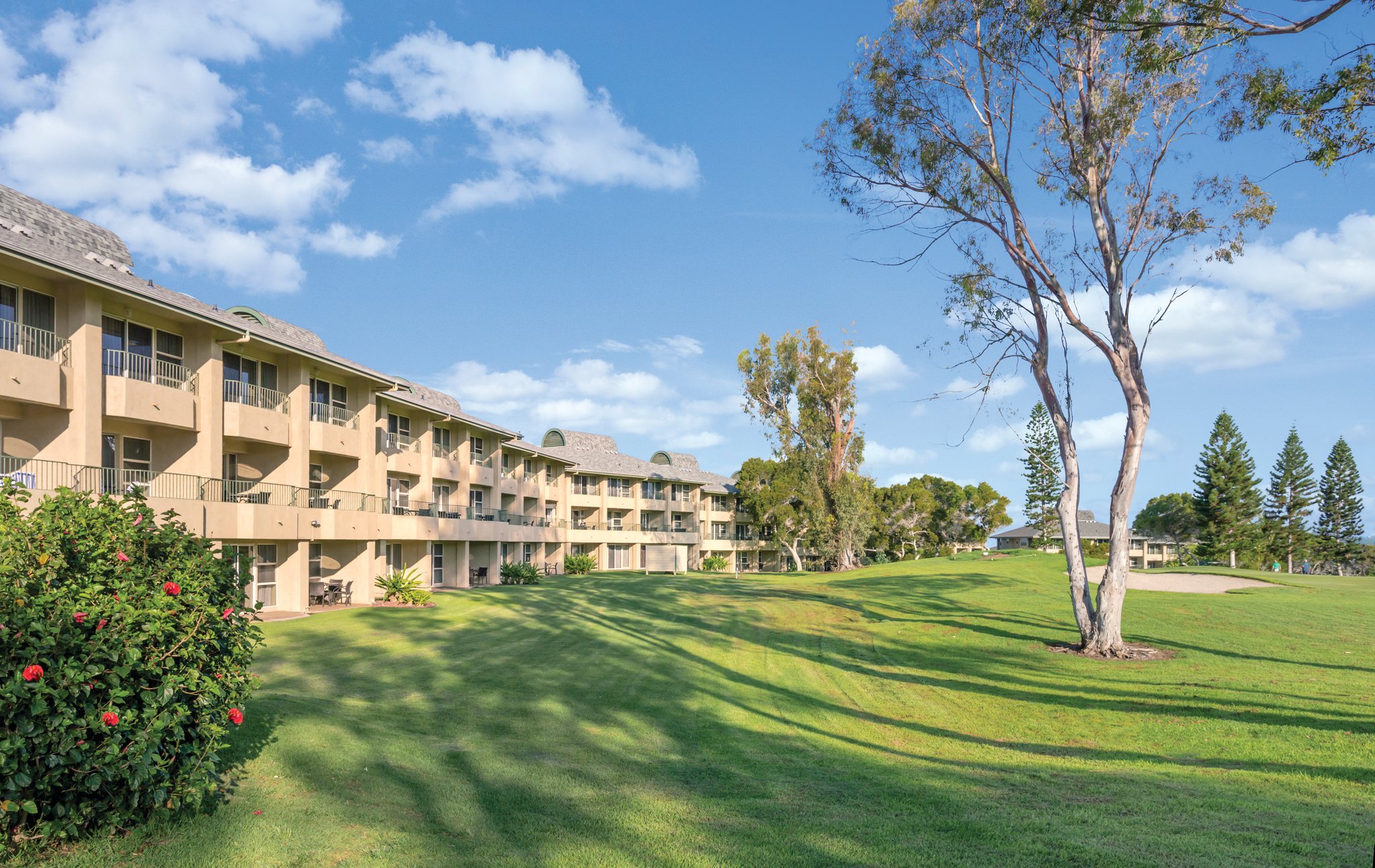 Paniolo Greens At Waikoloa