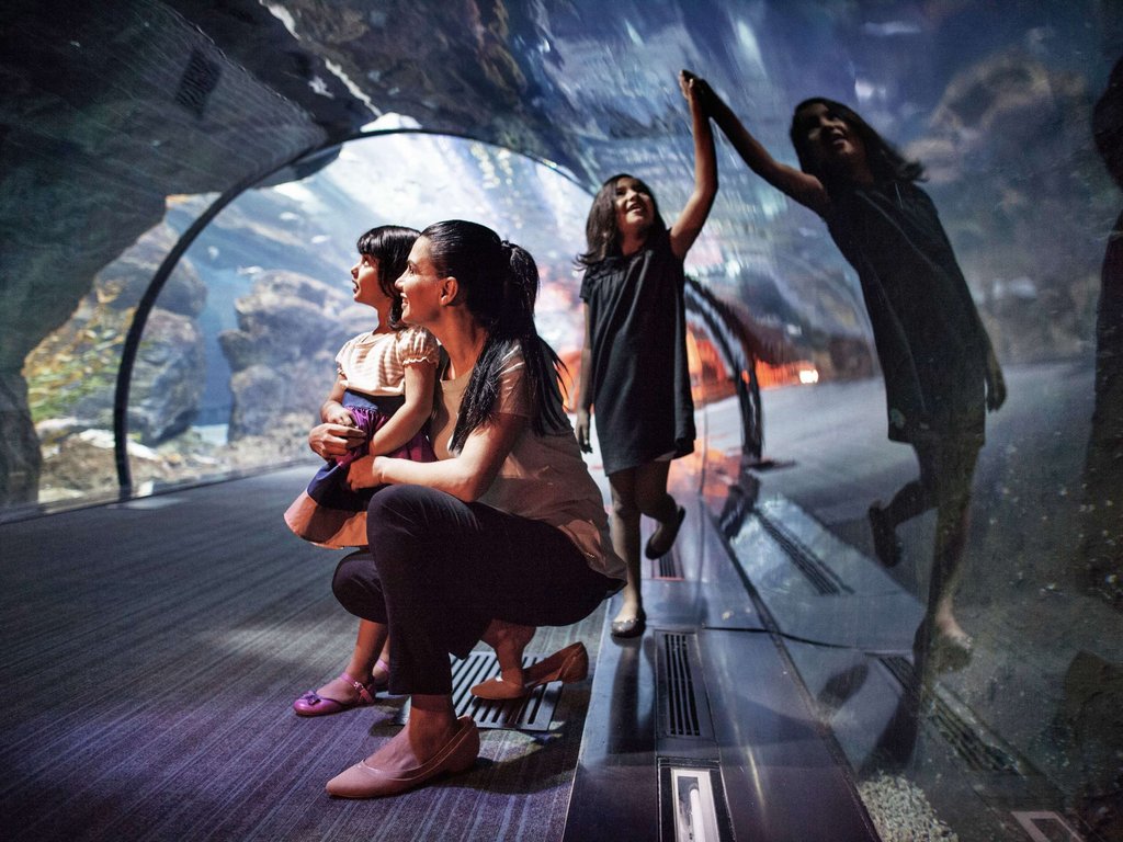 Sofitel Dubai Downtown | Cvent