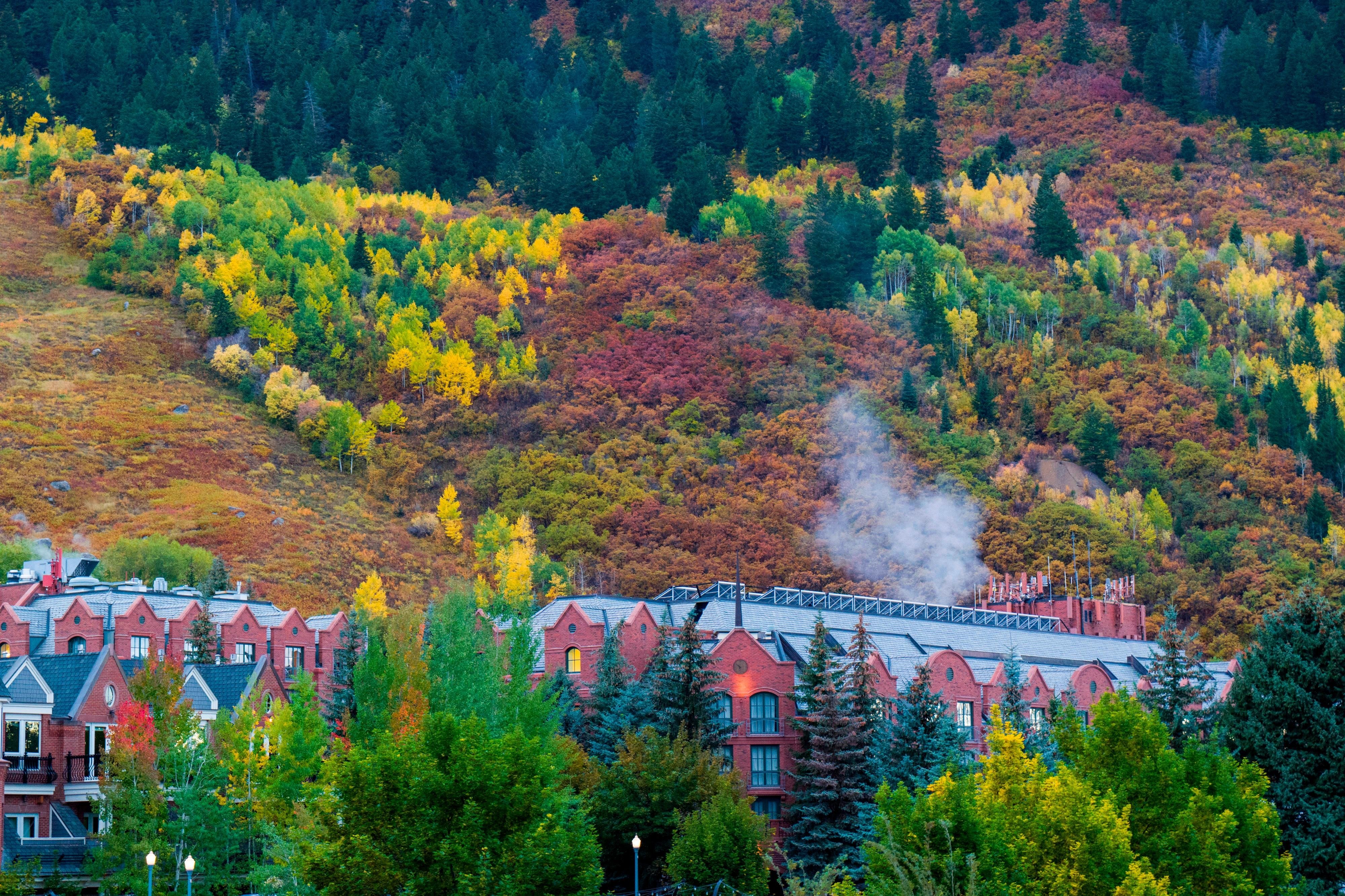 The St. Regis Aspen Resort- Deluxe Aspen, CO Hotels- GDS Reservation ...